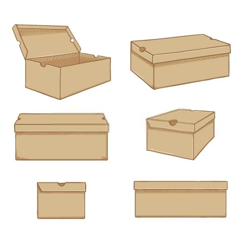 Cardboard Shoe Box: All Things You Need To Know - The Shoe Box