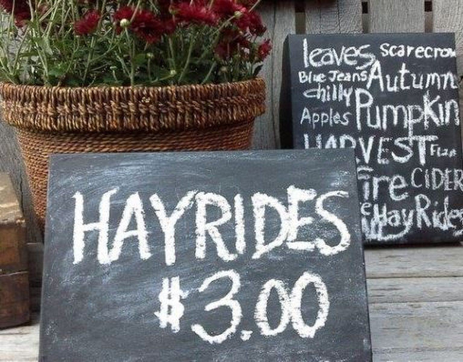 Dispose and Reuse Shoe Boxes: 12 Simple Ways To Recycle Shoe Boxes ...