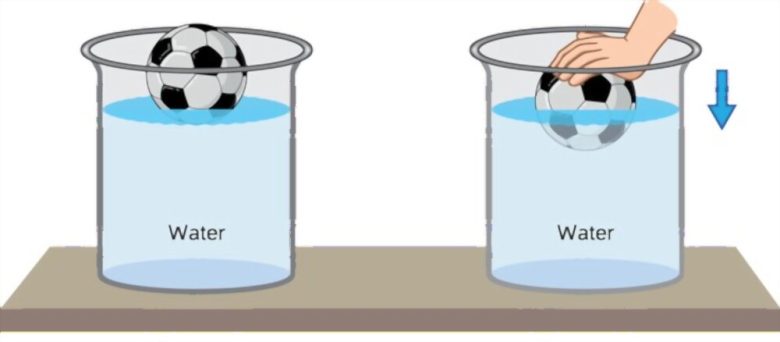Why Do Fat People Float? - The Shoe Box NYC