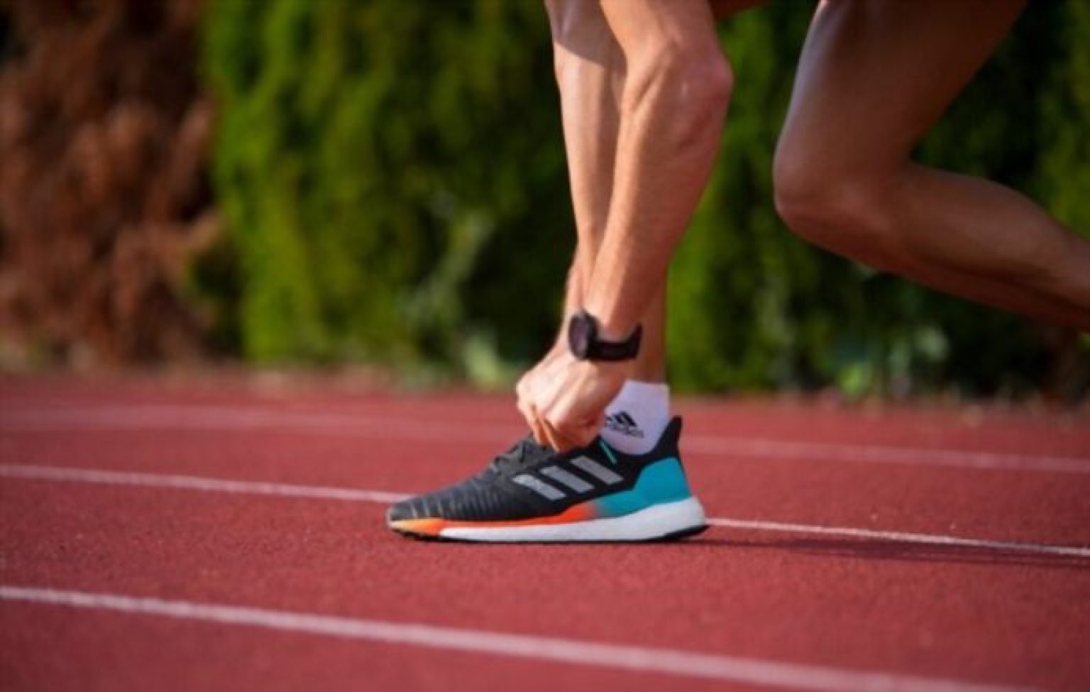 Adidas Shoe Size Chart: Are Adidas Shoes Good Fit? - The Shoe Box NYC