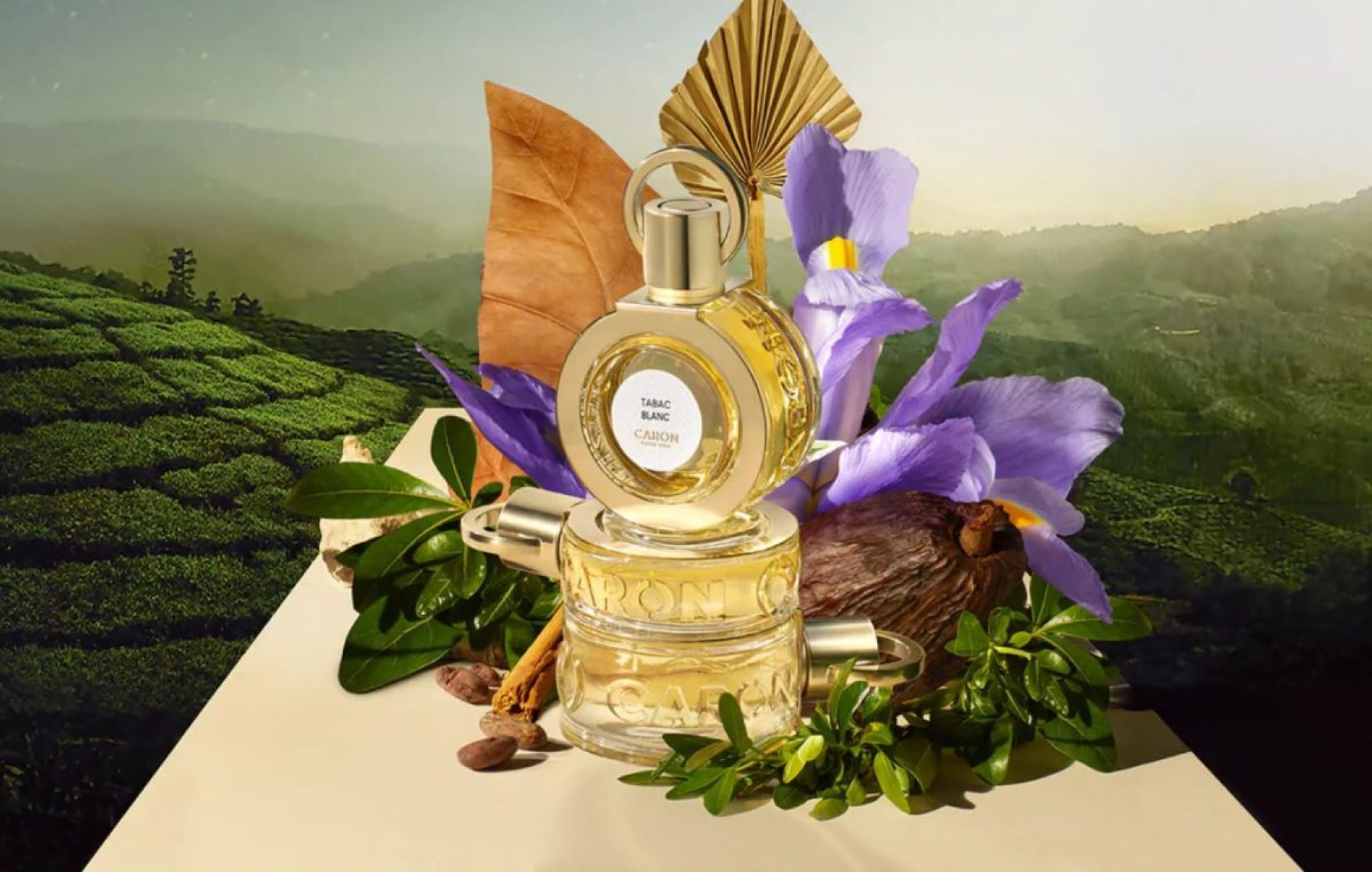 20 Expensive Perfume Brands For Women in 2023 - The Shoe Box NYC