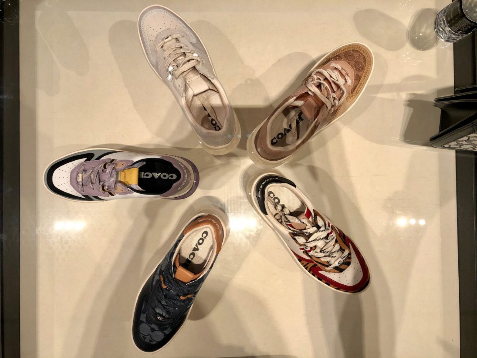 Coach Shoe Size Chart: Are All Coach Shoes Leather? - The Shoe Box NYC