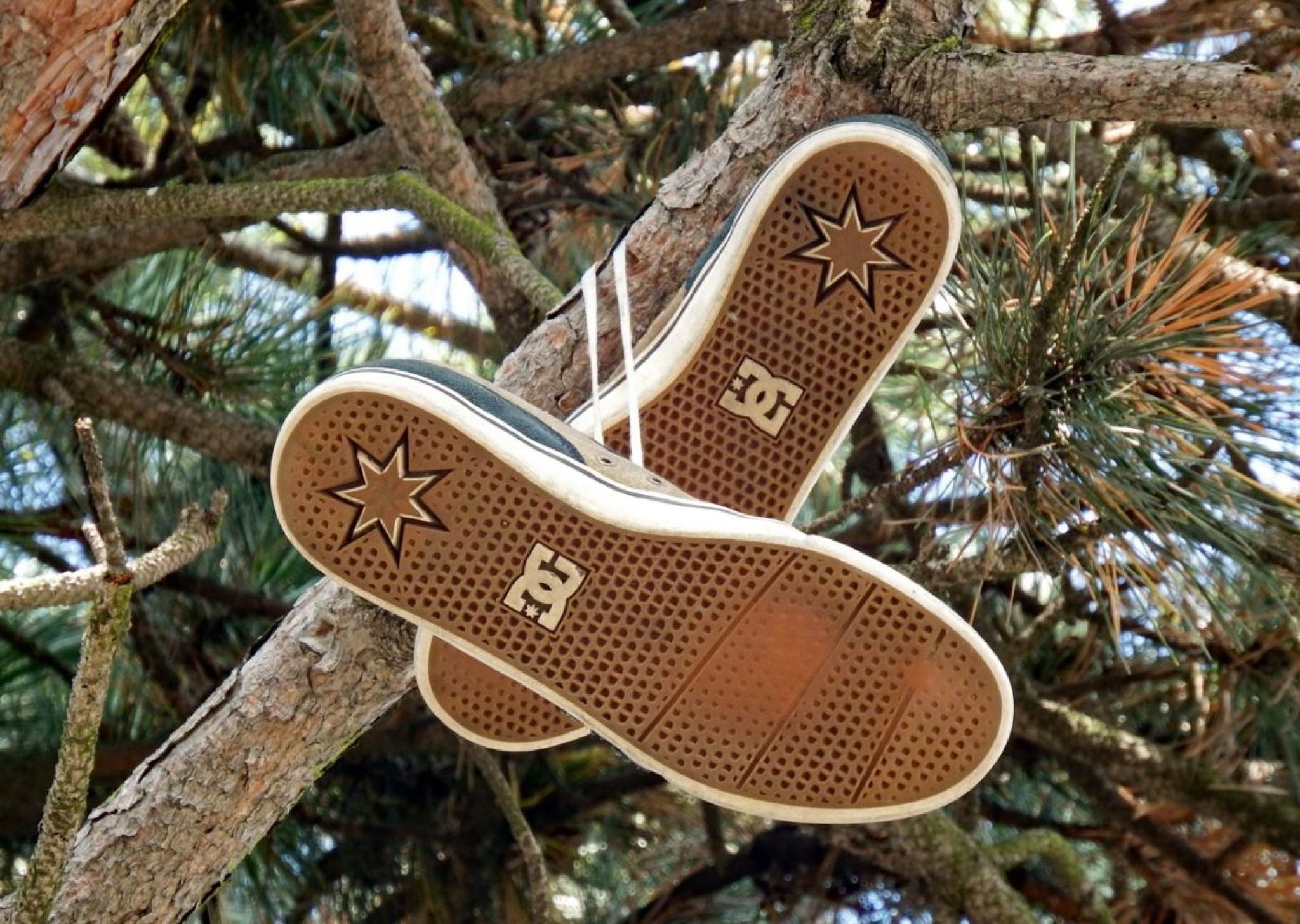 Do DC Shoes Run Big Or Small? - The Shoe Box NYC