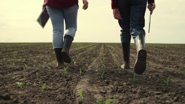 How to Choose the Right Work Boots for Ranchers and Farmers? - The Shoe ...