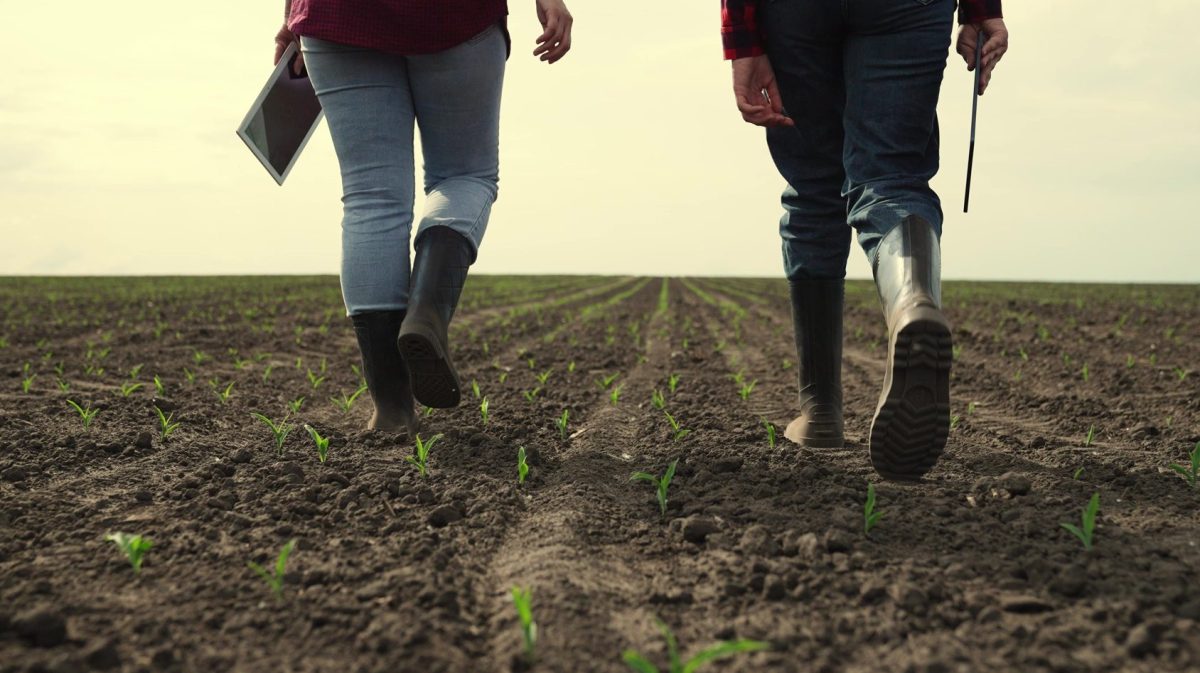 How to Choose the Right Work Boots for Ranchers and Farmers? - The Shoe ...