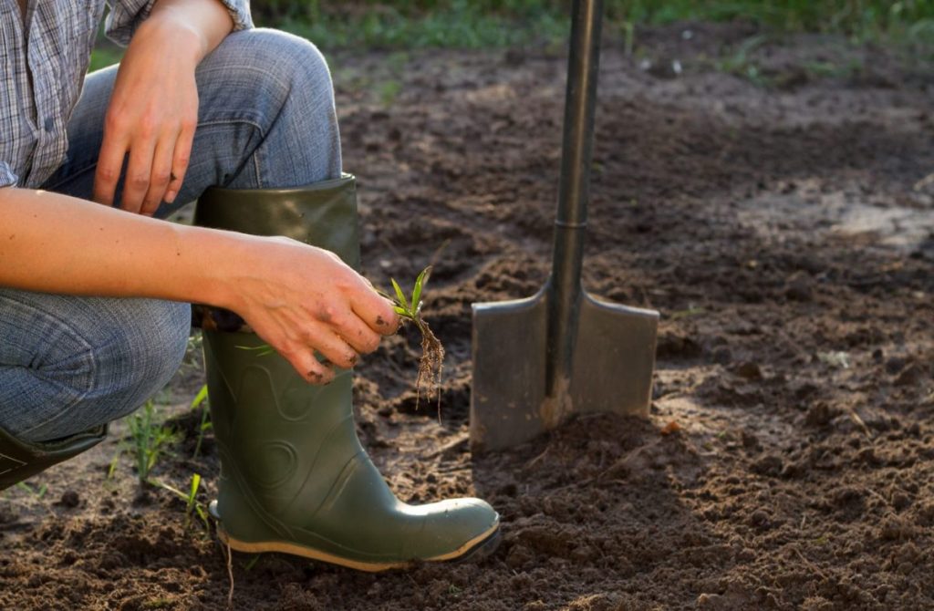 How to Choose the Right Work Boots for Ranchers and Farmers? - The Shoe ...